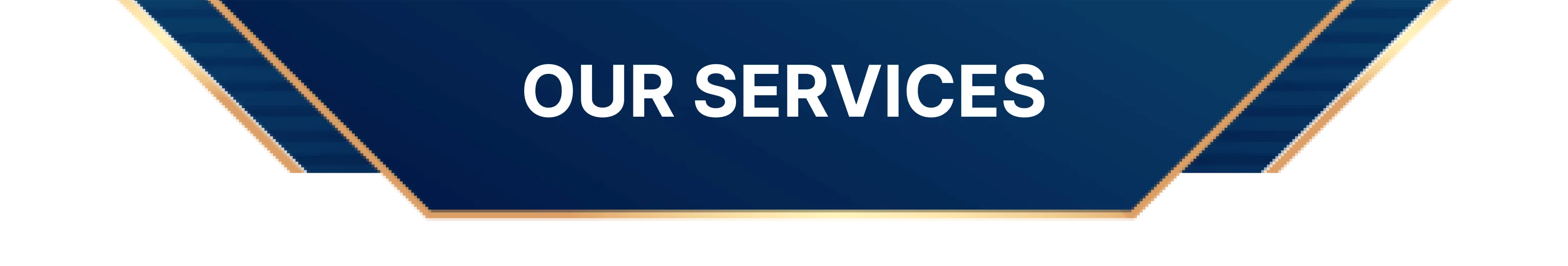 Next Level Ventures - Services